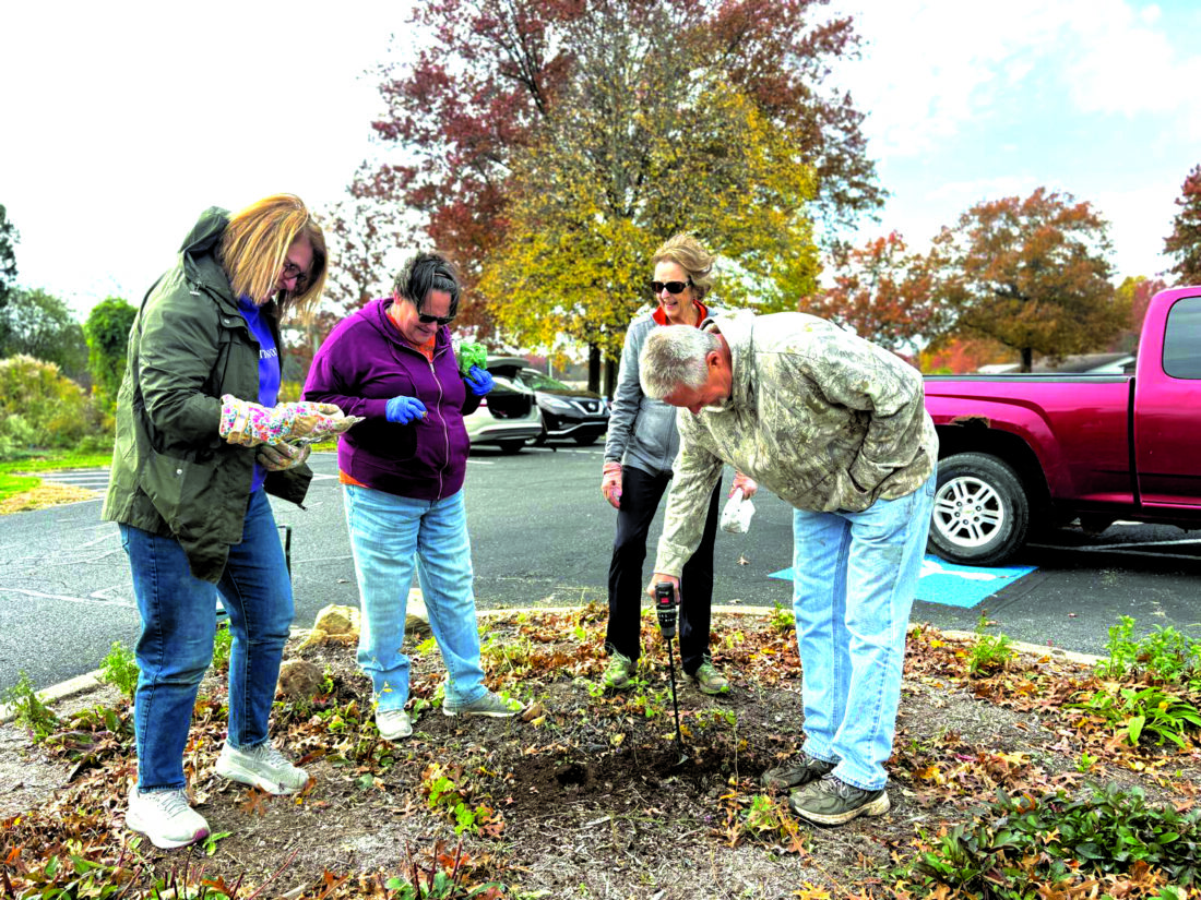 Plant flower bulbs in November | News, Sports, Jobs - The Vindicator